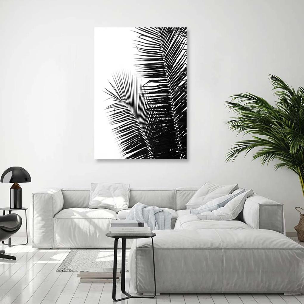 Gario Obraz na plátně Palmové listy Rozměry: 40 x 60 cm