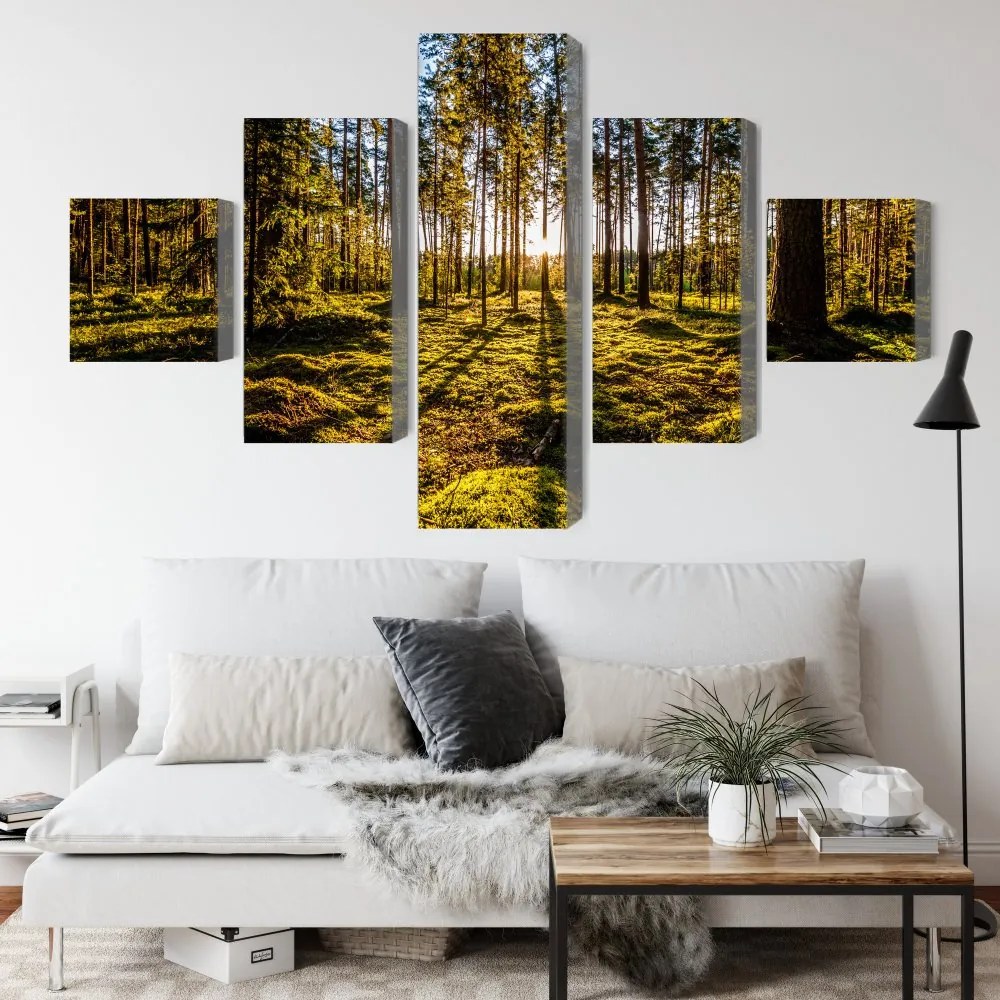 Vícedílný obraz Ranní Sluneční Paprsky V Lese Nedostatek Nedostatek Plátno Canvas 150x90