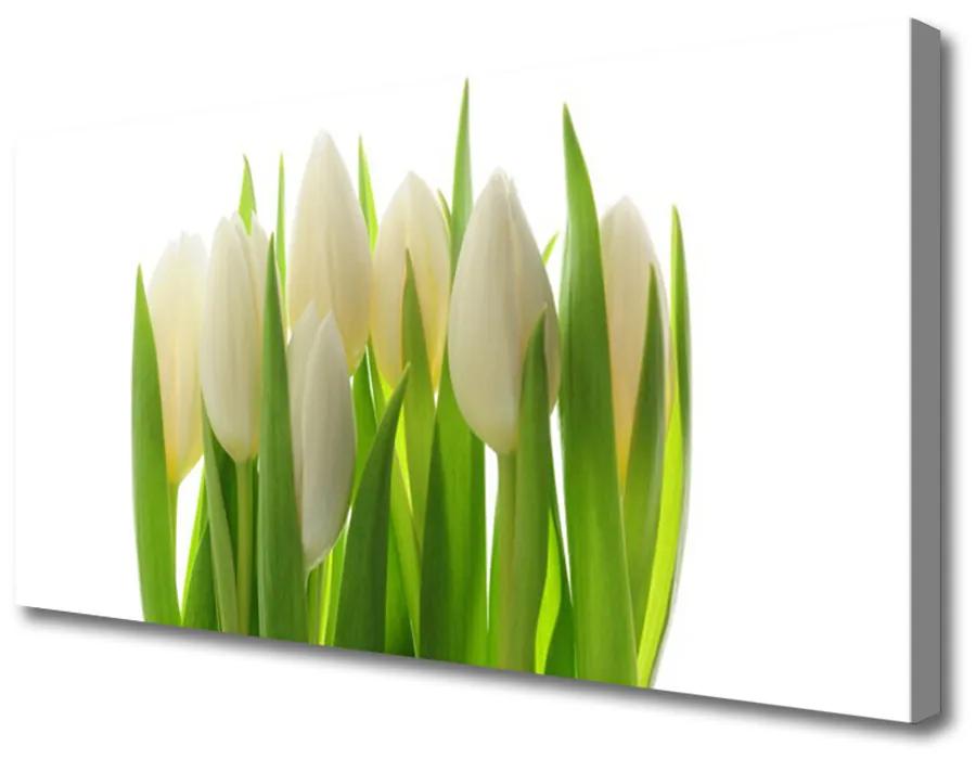 Obraz na plátně Tulipány Rostlina Příroda 100x50 cm