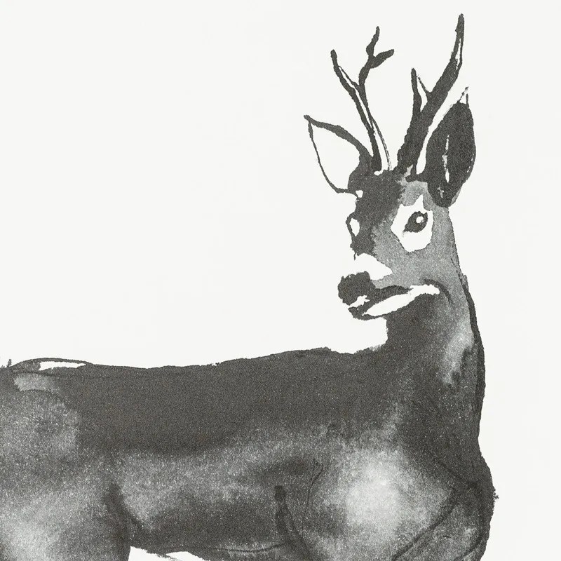 Teemu Järvi Plakát s motivem srnce Roe Deer 50x70