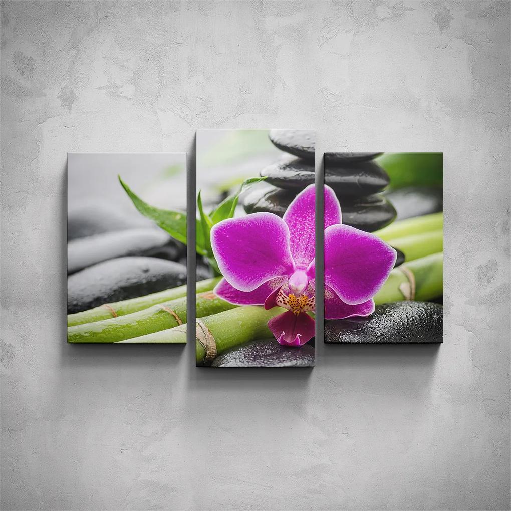 3-dílný obraz - Fialová orchidea - PopyDesign