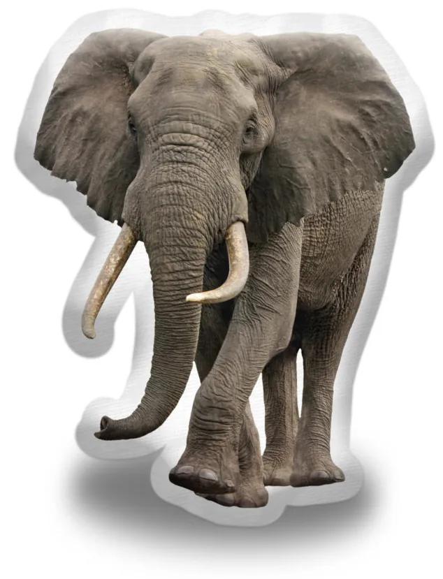 Polštářek 3D - Slon africký