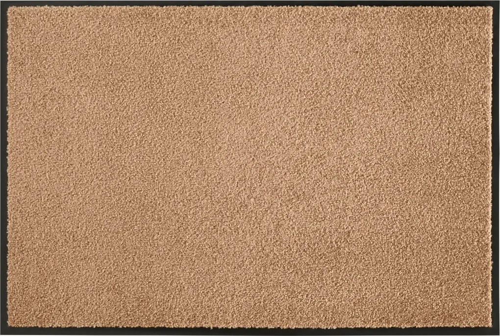 Hanse Home, AKCE: 40x60 cm Rohožka Wash & Clean 102041 Caramel, hnědá, chodba / předsíň