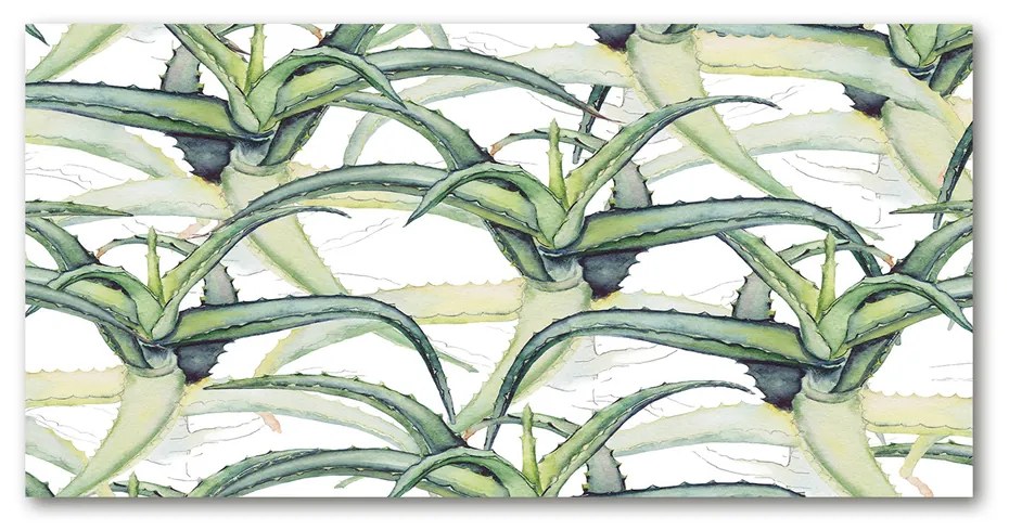 Wallmuralia Foto obraz akrylové sklo Aloes 140x70 cm