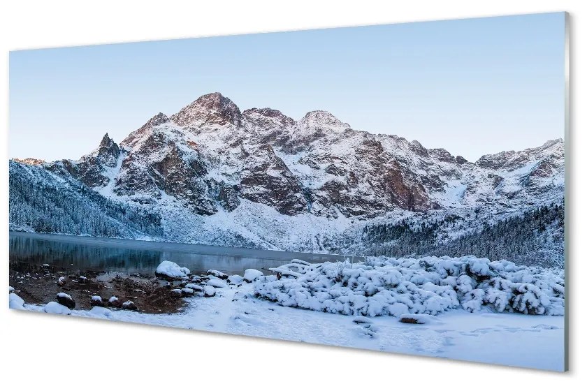 Obraz na skle Horské zimní jezero 120x60 cm