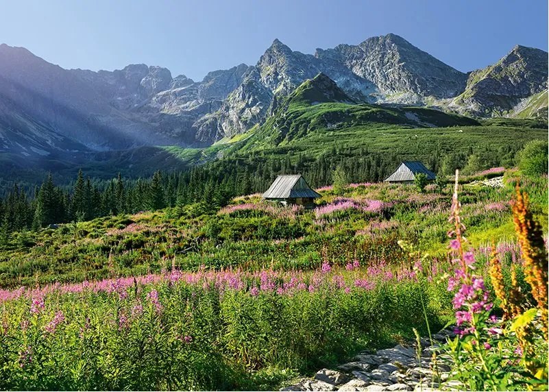 Cherry pazzi puzzle gąsienicowa dolina, vysoké tatry 1000 dílků
