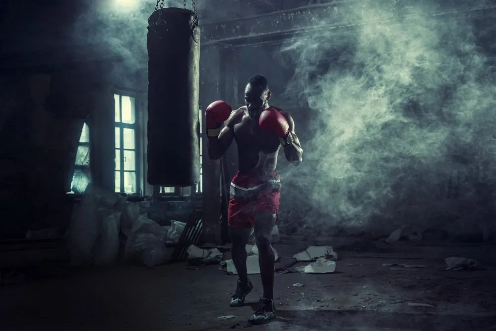 Fototapeta Boxer V Zakouřené Místnosti Hladký vinyl 104x70.5