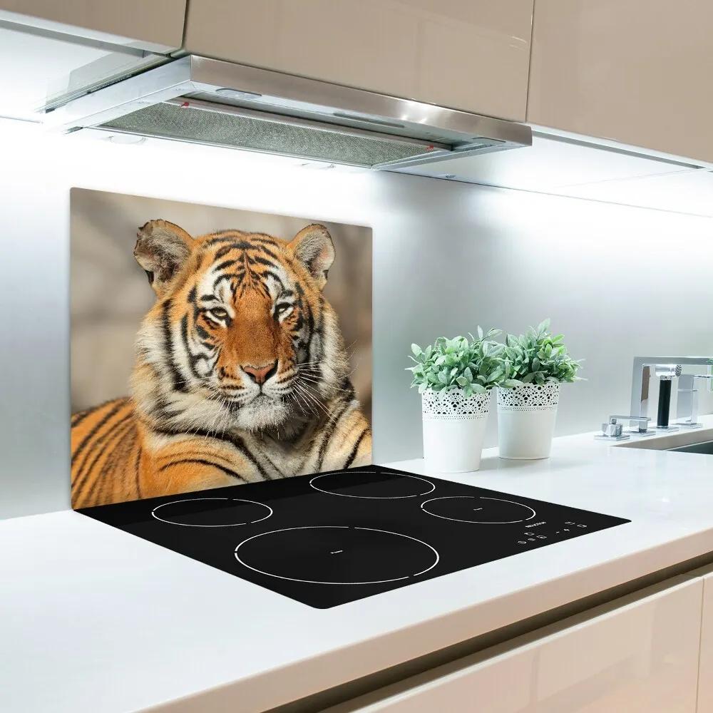 Skleněné deska do kuchyně Bengálský tygr