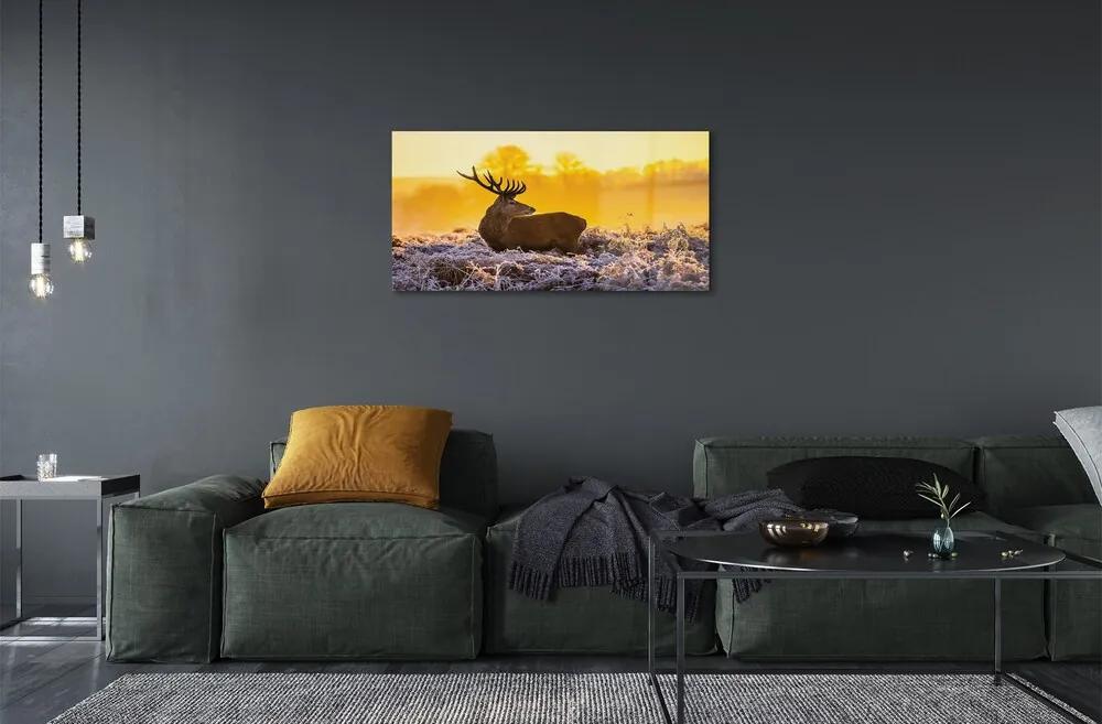 Obraz na skle Jelen zimní slunce 125x50 cm