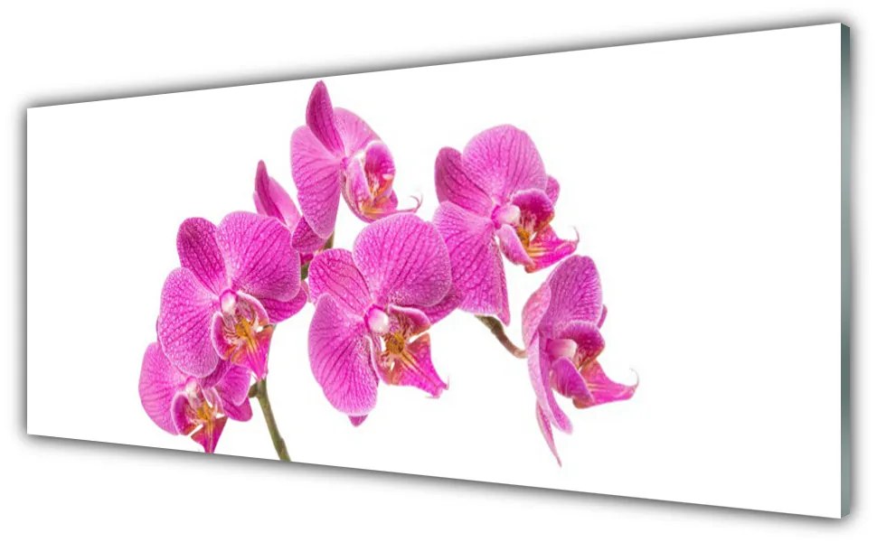 Plexisklo-obraz Orchidej Květiny Příroda 125x50 cm