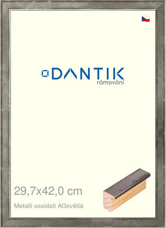 DANTIK rámeček 29,7x42 | Metalli oidati AGsvětlá (Plexi Čiré)
