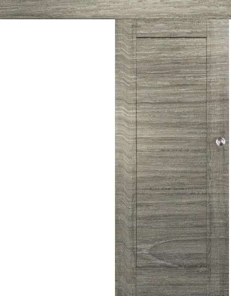 posuvné interiérové dveře na stěnu vasco doors IBIZA plné, model 1 Průchozí rozměr: 70 x 197 cm, Orientace dveří: Levé dveře, Dekor: Dub stříbrný