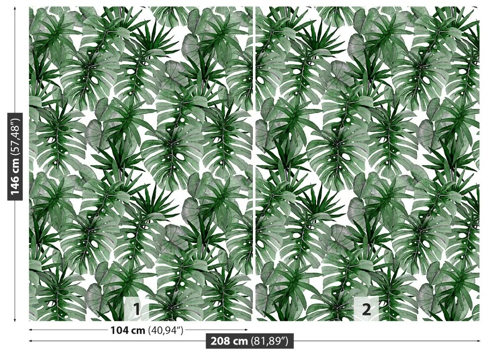 Fototapeta Tropické Monstera 104x70