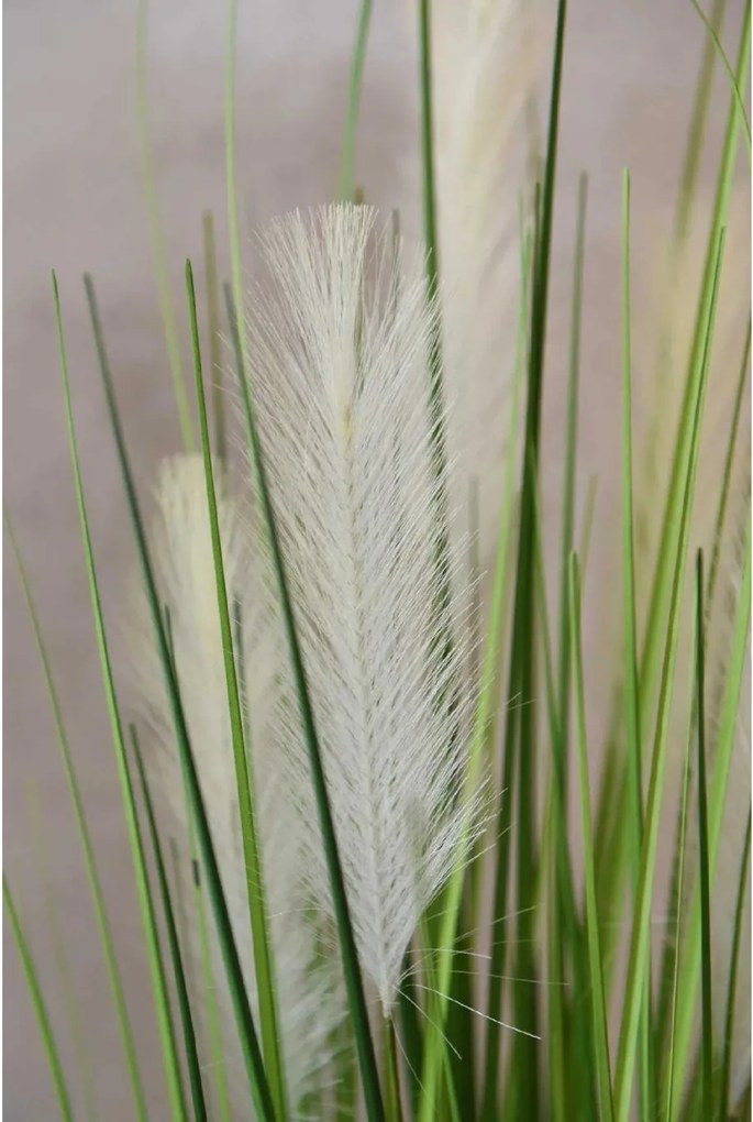 Umělá tráva PAMPAS, plast, výška 120 cm, zelená