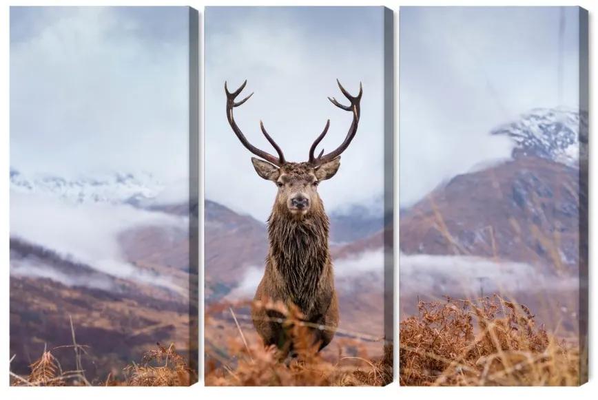 Vícedílný obraz Jelen Na Pozadí 3D Horské Krajiny Nedostatek Nedostatek Přírodní plátno 150x100