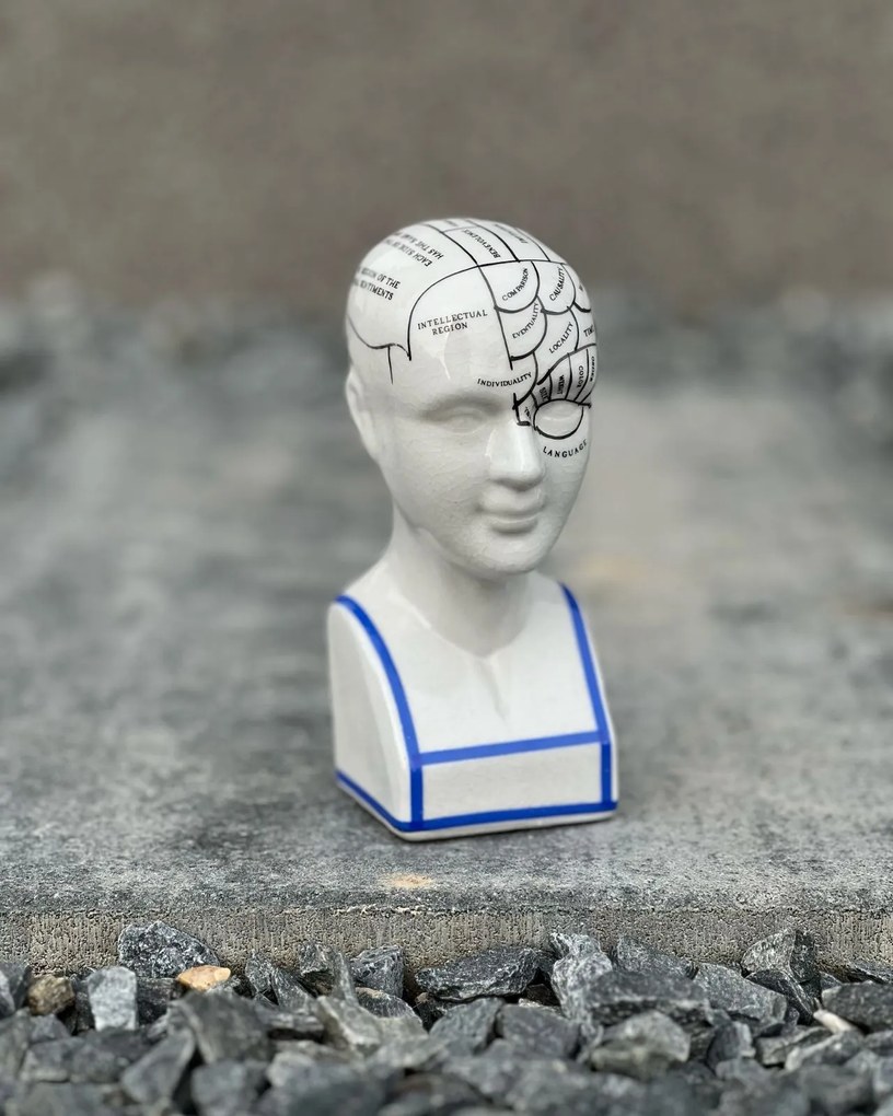 Porcelánová figurka malá - Frenologická lebka