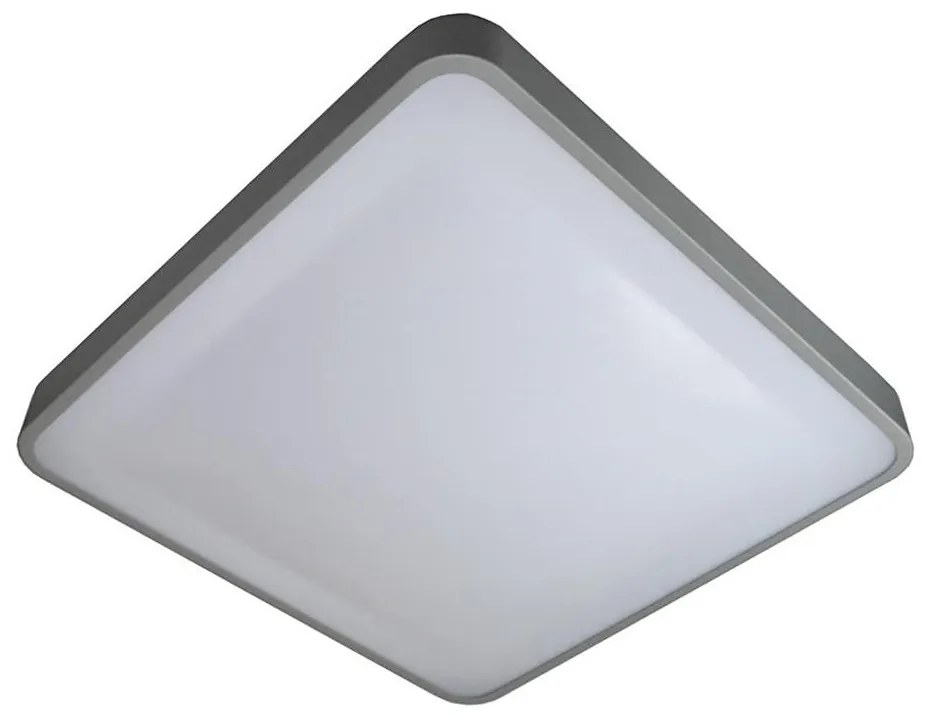 LED Stropní svítidlo WILTON LED/24W/230V šedá