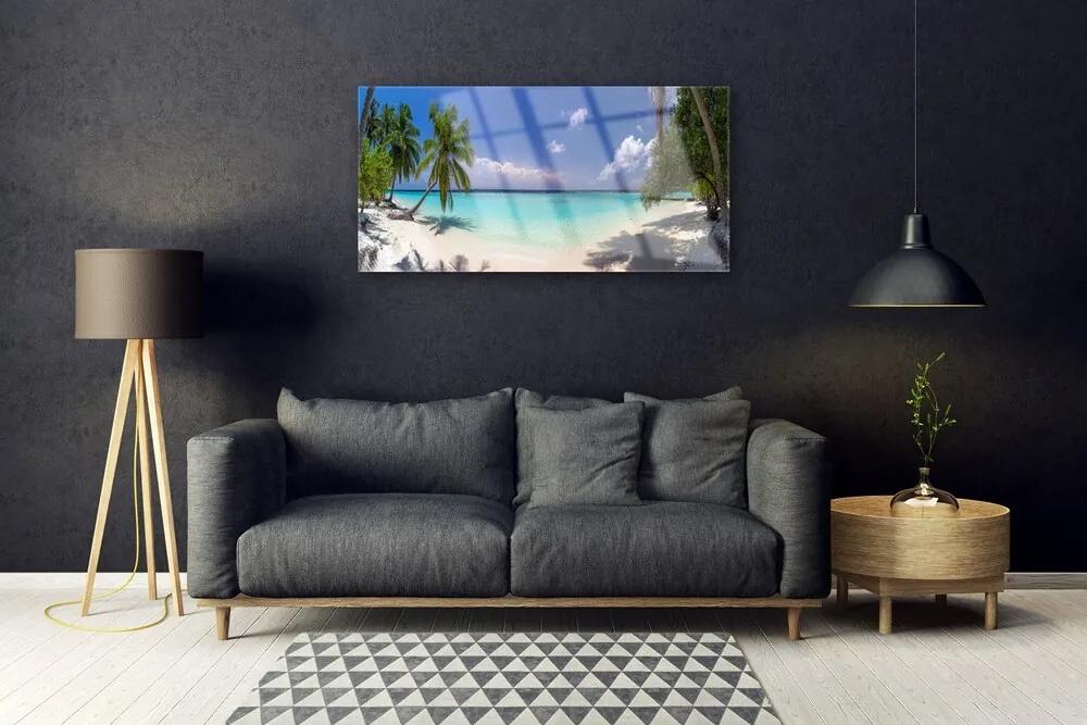 akrylový obraz Moře Pláž Palma Krajina 100x50 cm