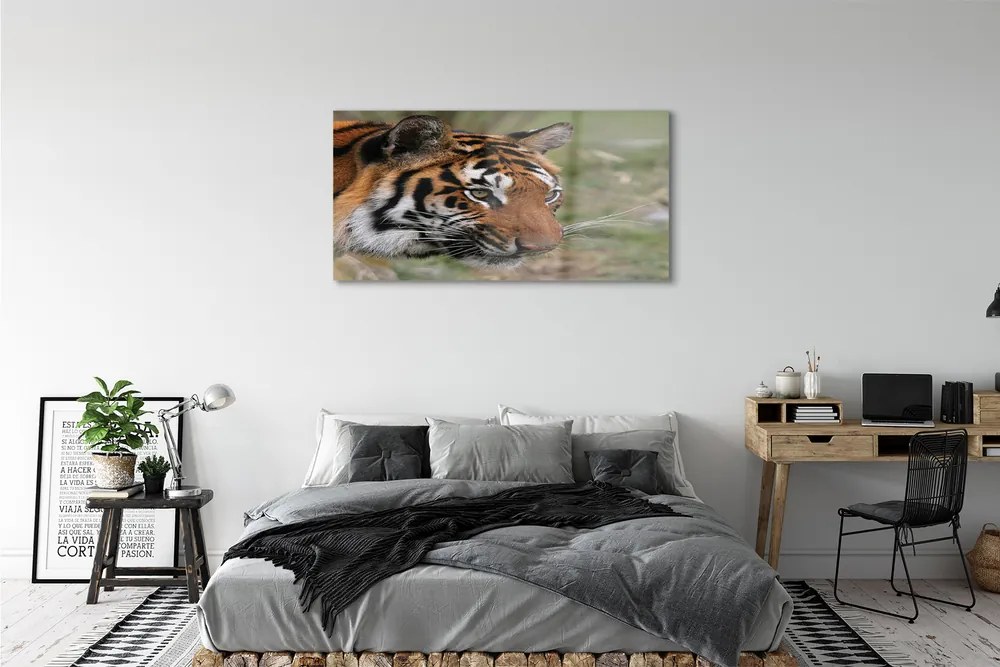 akrylový obraz Tiger Woods 125x50 cm