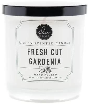 DW Home Vonná svíčka ve skle Svěží gardénie - Fresh Cut Gardenia, 9,7oz
