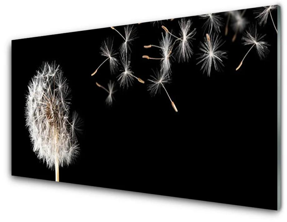 Obraz na skle Pampeliška Květ Kapky 125x50 cm