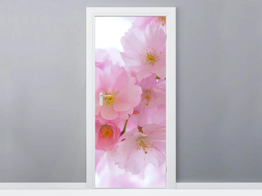 Gario Samolepící fólie na dveře Růžové květy višně 95x205cm Velikost: 95 x 205 cm