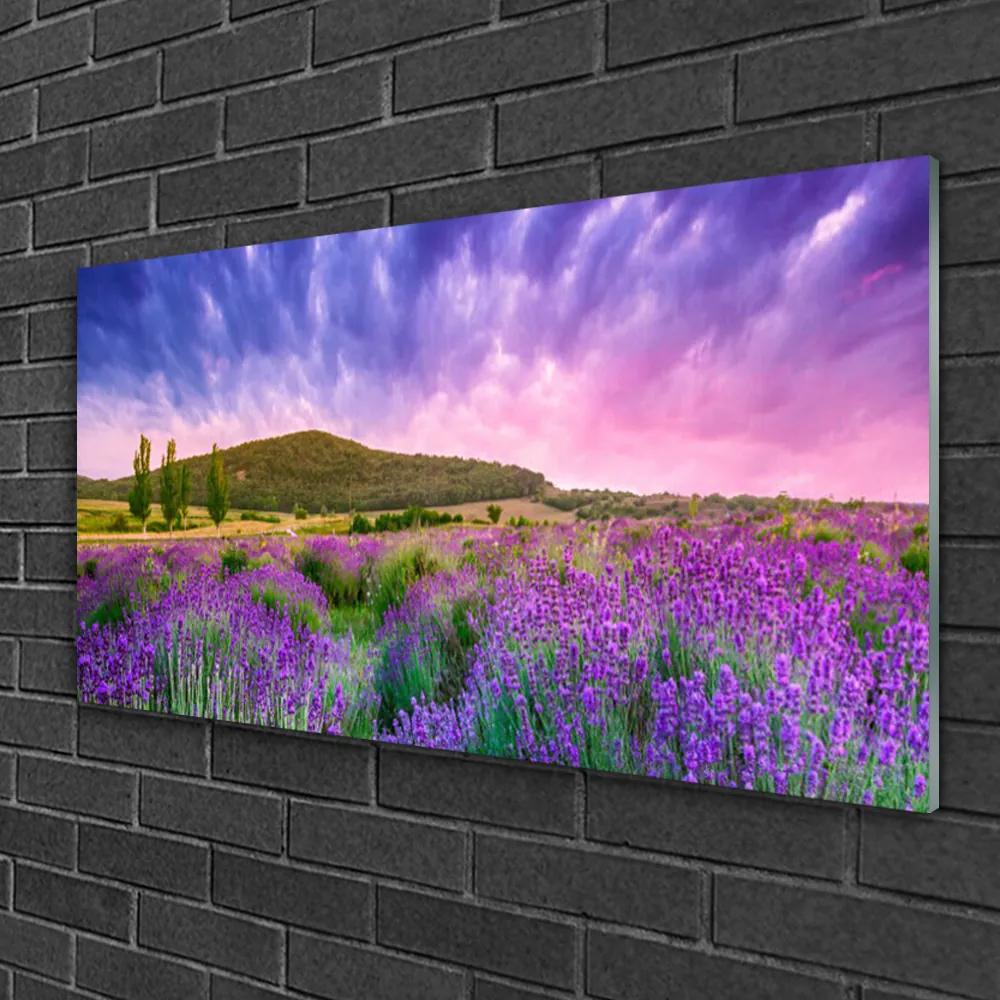 Obraz na skle Louka Květiny Hory Příroda 100x50 cm