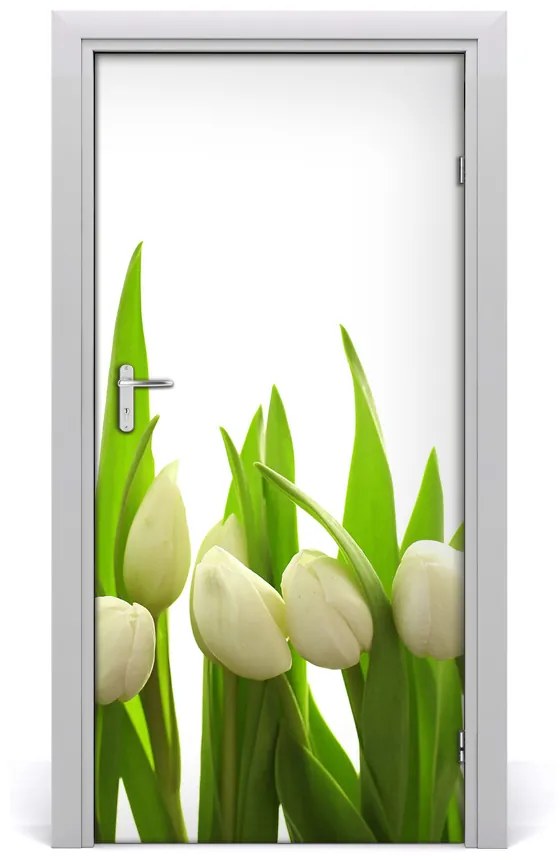 Fototapeta na dveře Bílé tulipány 85x205 cm