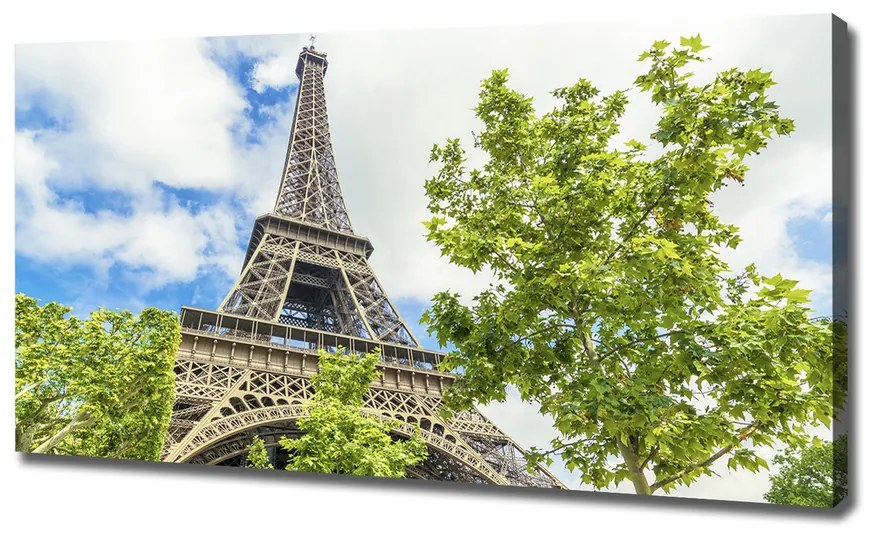 Wallmuralia Foto obraz tištěný na plátně Eiffelova věž Paříž 120x60 cm