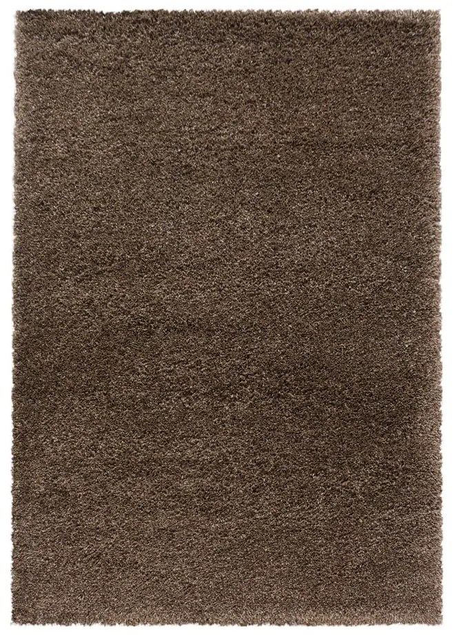 Tmavě hnědý koberec 160x230 cm Fluffy – Ayyildiz Carpets