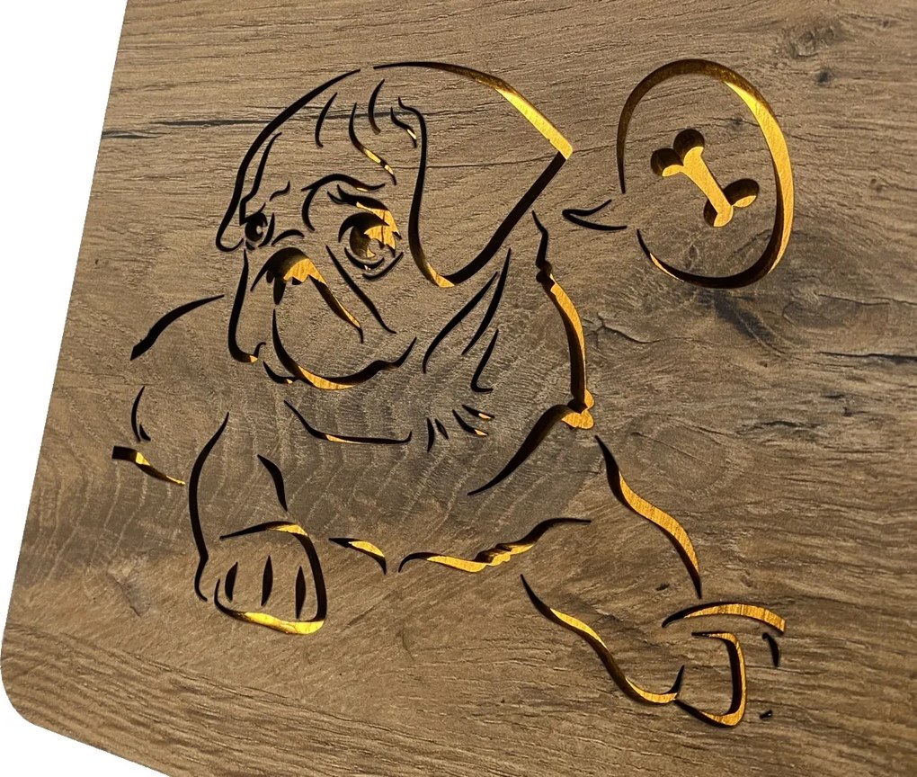 Li-Go "Mops" lampa 19x19 cm provedení povrchu: dub