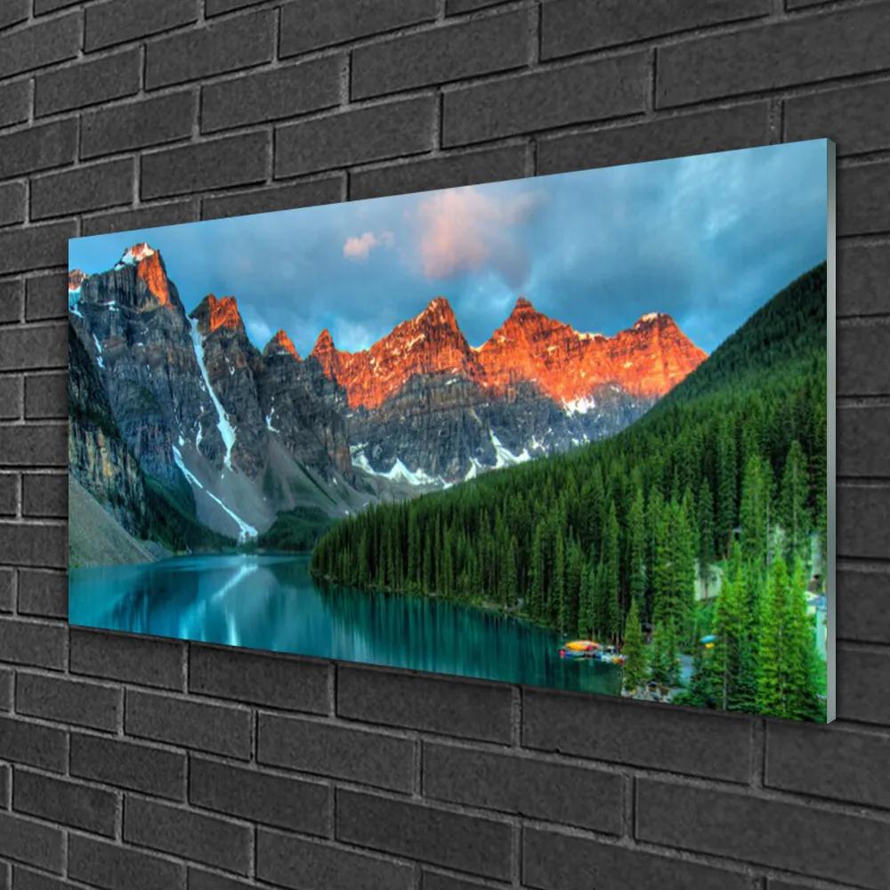 Obraz na skle Hora Les jezero Krajina 100x50 cm