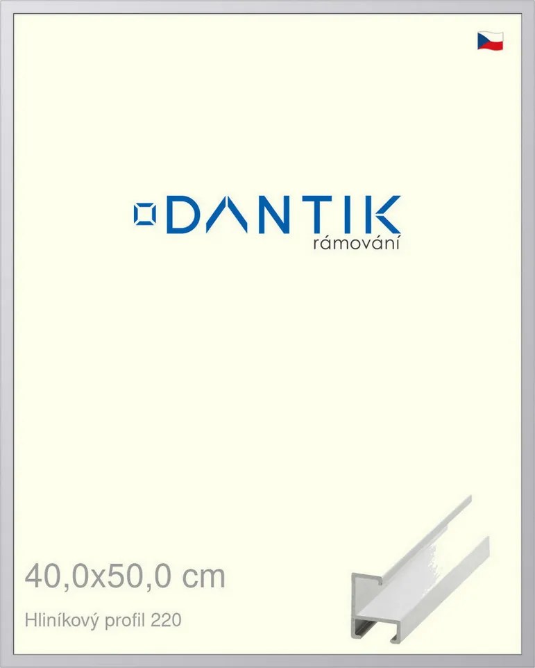 DANTIK rámeček 40x50 | ALU profil 6220 Bílá matná (Plexi Čiré)