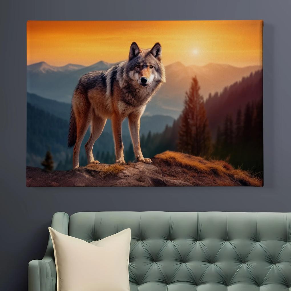 Obraz na plátně - Vlk chytá poslední paprsky slunce FeelHappy.cz Velikost obrazu: 40 x 30 cm