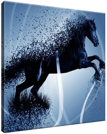 Tištěný obraz Modrý kůň - Jakub Banas 30x30cm 3574A_1AI
