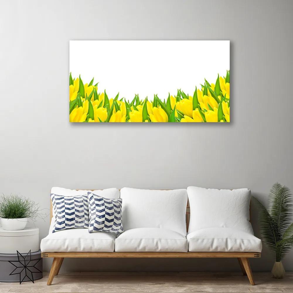 Obraz na plátně Květiny Příroda Tulipány 100x50 cm
