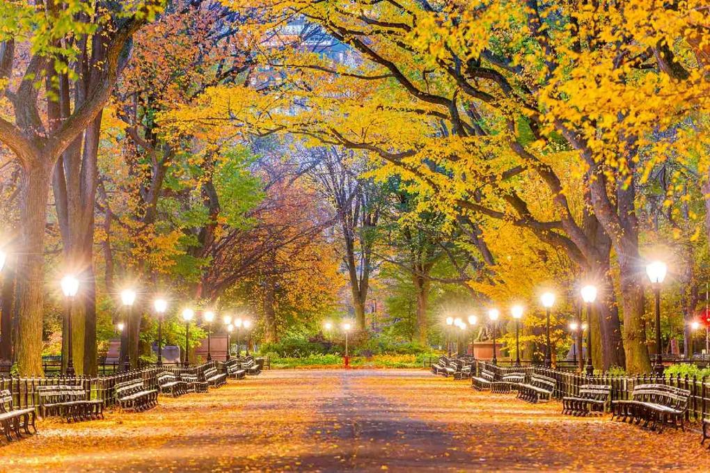 DIMEX | Samolepicí vliesová fototapeta na zeď Central Park na podzim MA-5-3019 | 375 x 250 cm | zelená, modrá, žlutá, hnědá