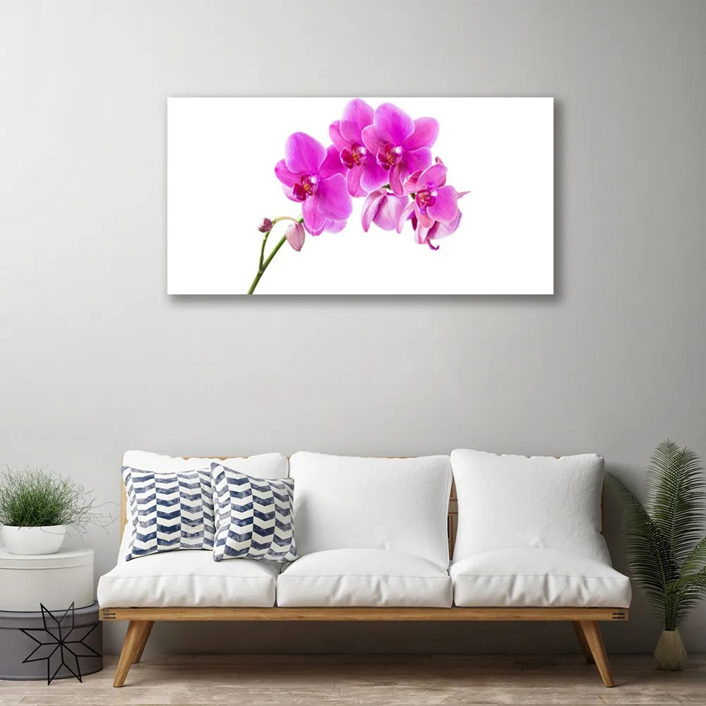 Obraz na plátně Vstavač Květ Orchidej 100x50 cm