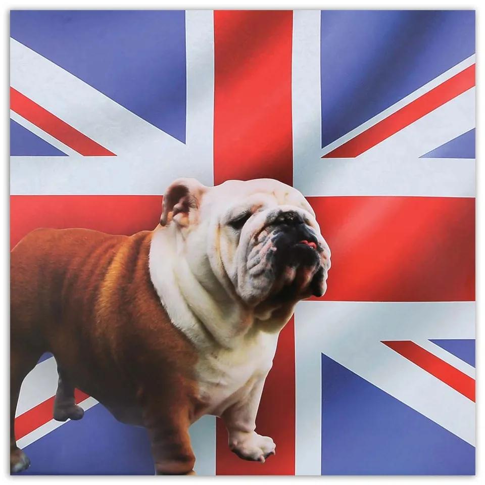 Gario Obraz na plátně Anglický buldok na pozadí vlajky Rozměry: 30 x 30 cm