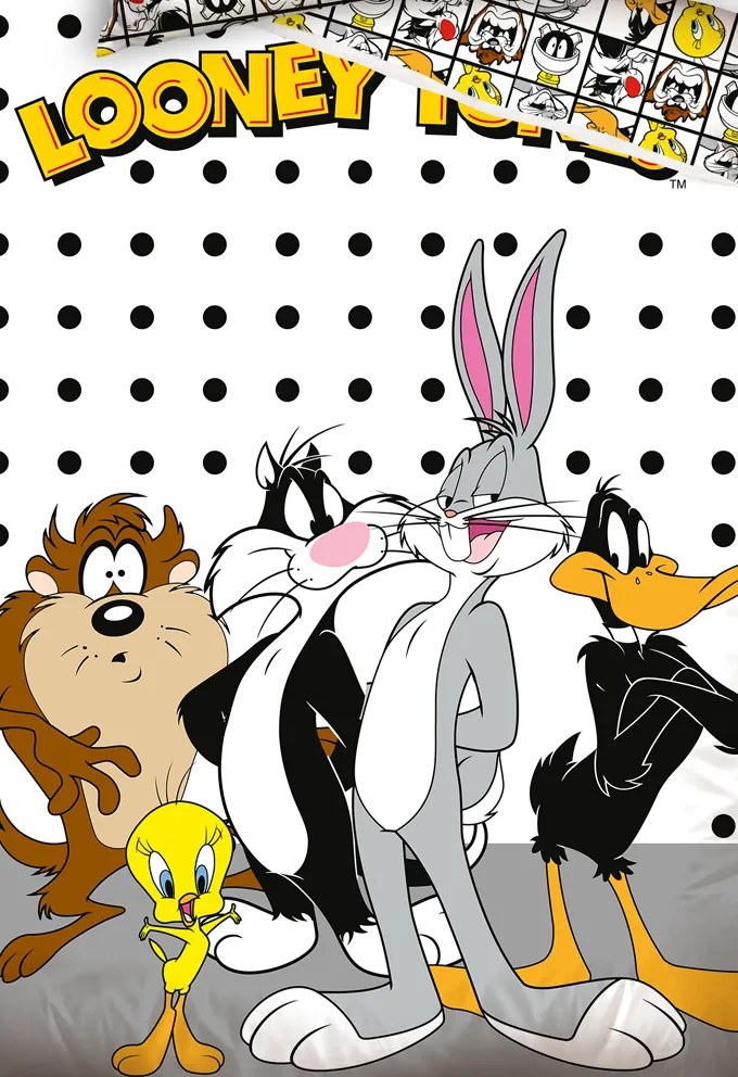 Dětské povlečení Kamarádi z Looney Tunes