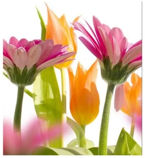 DIMEX | Vliesová fototapeta na zeď Jarní květiny MS-3-0142 | 225 x 250 cm | bílá, růžová, žlutá, zelená