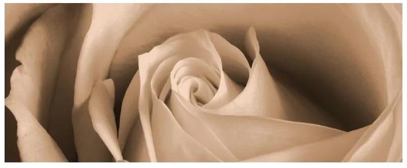 Krásný obraz růžičky (100x40 cm), 40 dalších rozměrů