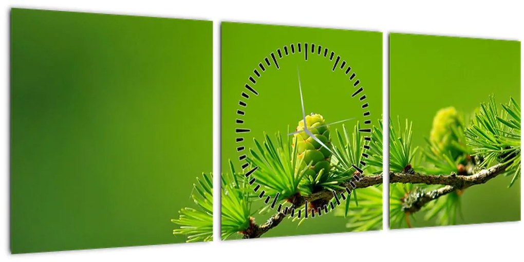 Obraz zelené šišky (s hodinami) (90x30 cm)