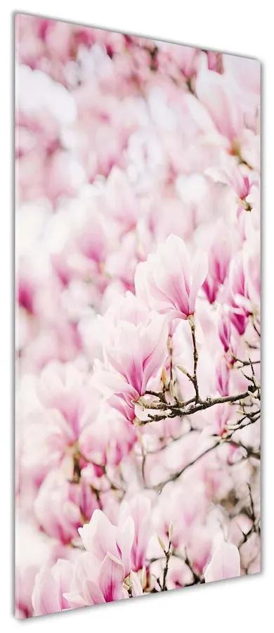 Wallmuralia Fotoobraz na skle Květy magnolie 50x125 cm