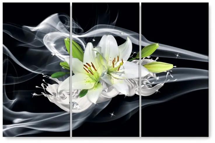 Malvis ® Vícedílný obraz - Lilie a diamanty Velikost: 120x80 cm
