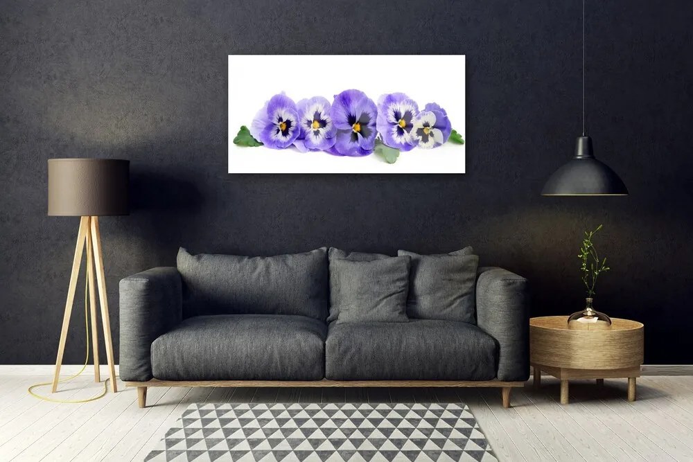 Plexisklo-obraz Plátky Květ Macešky 100x50 cm