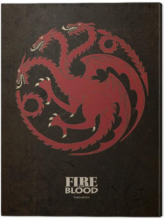 Obraz na plátně Hra o Trůny (Game of Thrones) - Targaryen, (30 x 40 cm)