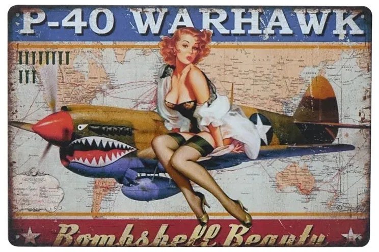 Kovová cedule P-40 Warhawk