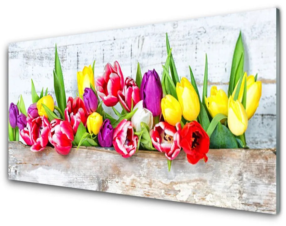 Plexisklo-obraz Tulipány Květiny Příroda 120x60 cm