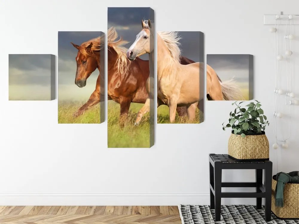 Vícedílný obraz Koně Cválající Na 3D Louce Nedostatek Nedostatek Přírodní plátno 150x90